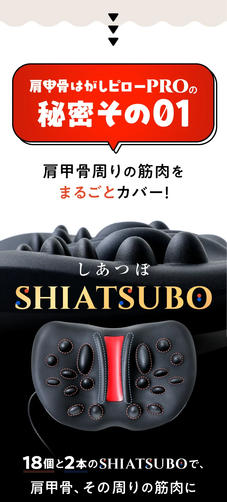 【公式】肩甲骨はがしピローPRO E-RAKUNA(イ－ラクナ)｜amepla（アメプラ）公式オンラインショップ