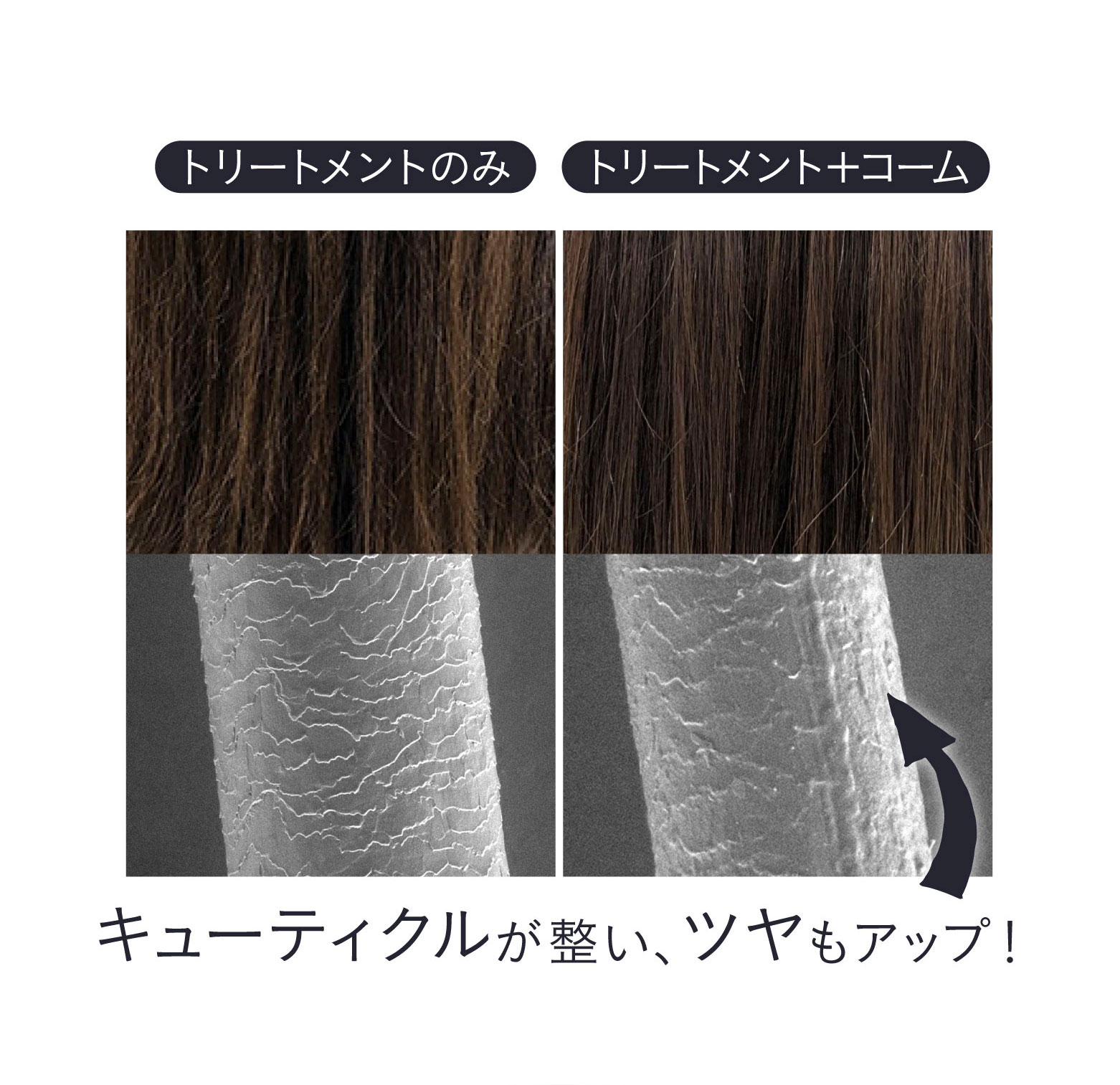 【公式】ディープモイストコーム strainia ( ストレーニア ) | amepla（アメプラ）公式オンラインショップ